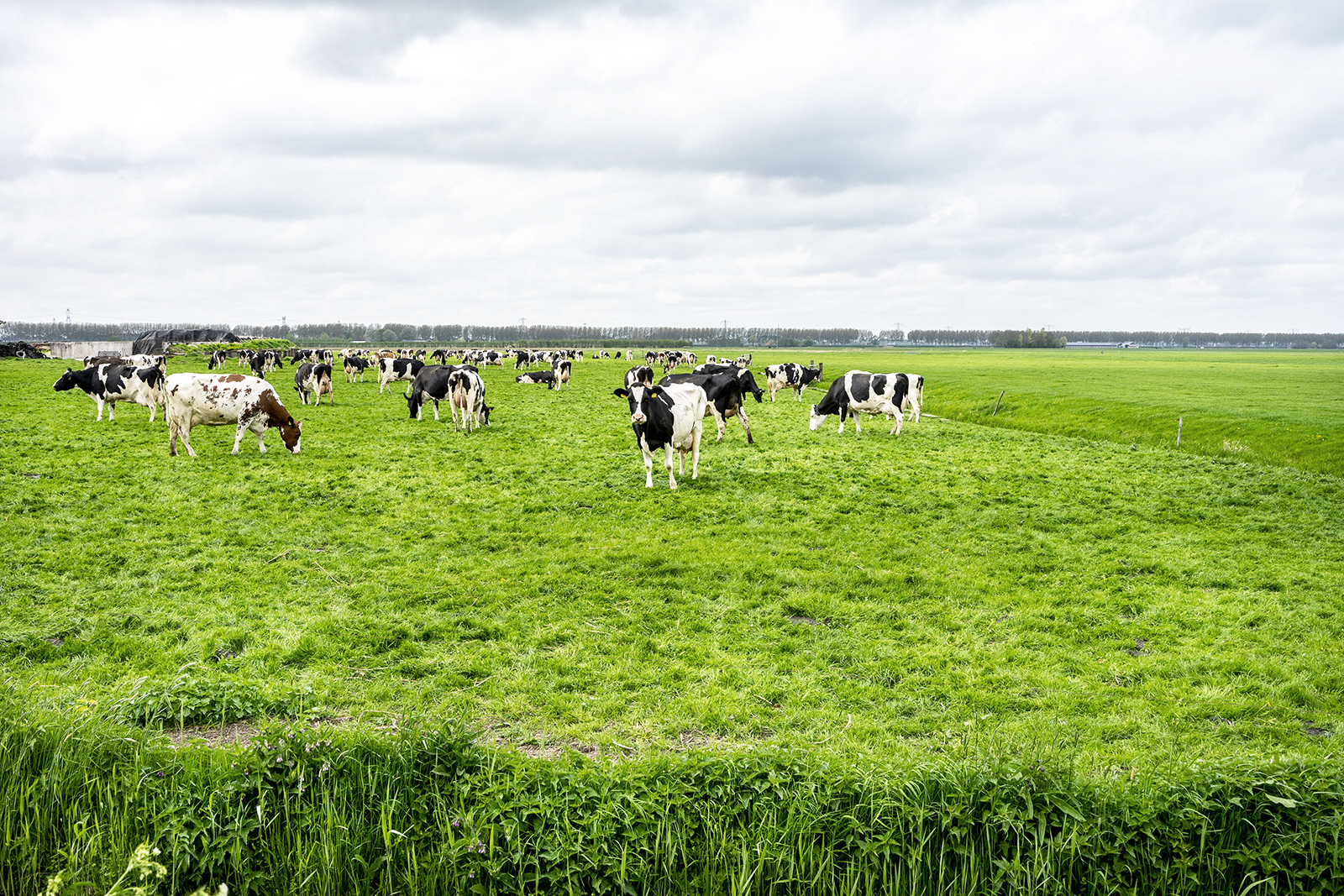 11 · Woonboot te Koop · Woonboot Verkopen · Woonboot Makelaar AWN